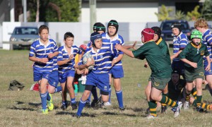 AIC Sport Results - Associated Independent Colleges